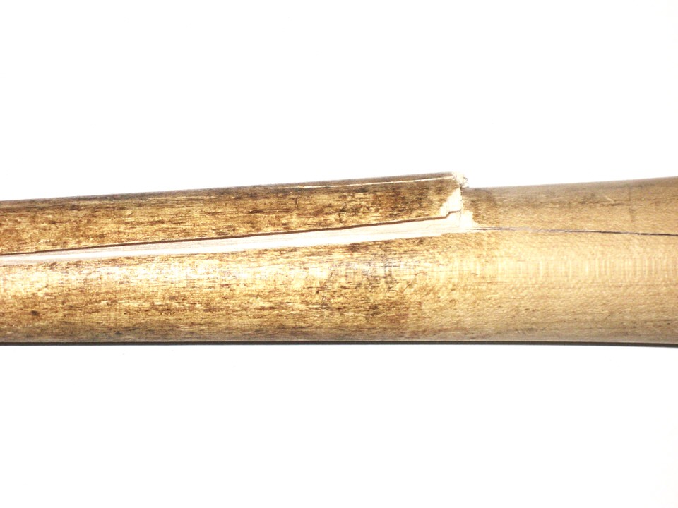 Mike Papi 2017 Akron Rubber Ducks Game Used & Signed Louisville Slugger ...
